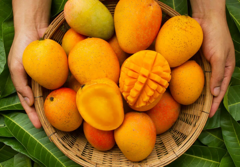 Mango - Dr AvinashTank, is a super-specialist (MCh) Laparoscopic Gastro ...