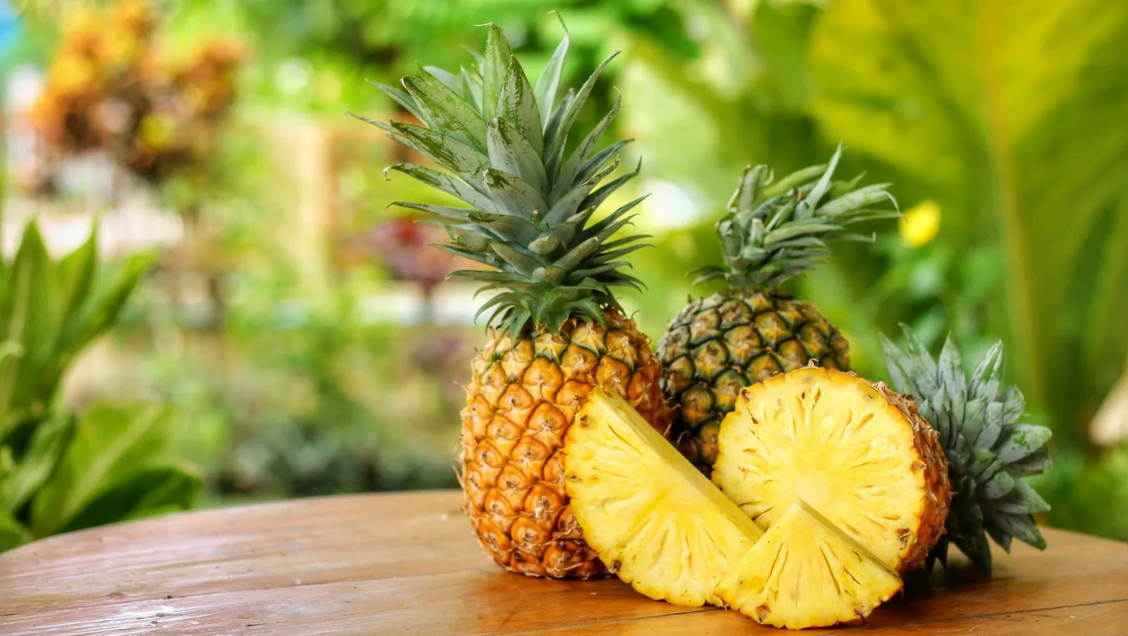 Pineapple (Ananas) - Dr AvinashTank, is a super-specialist (MCh ...